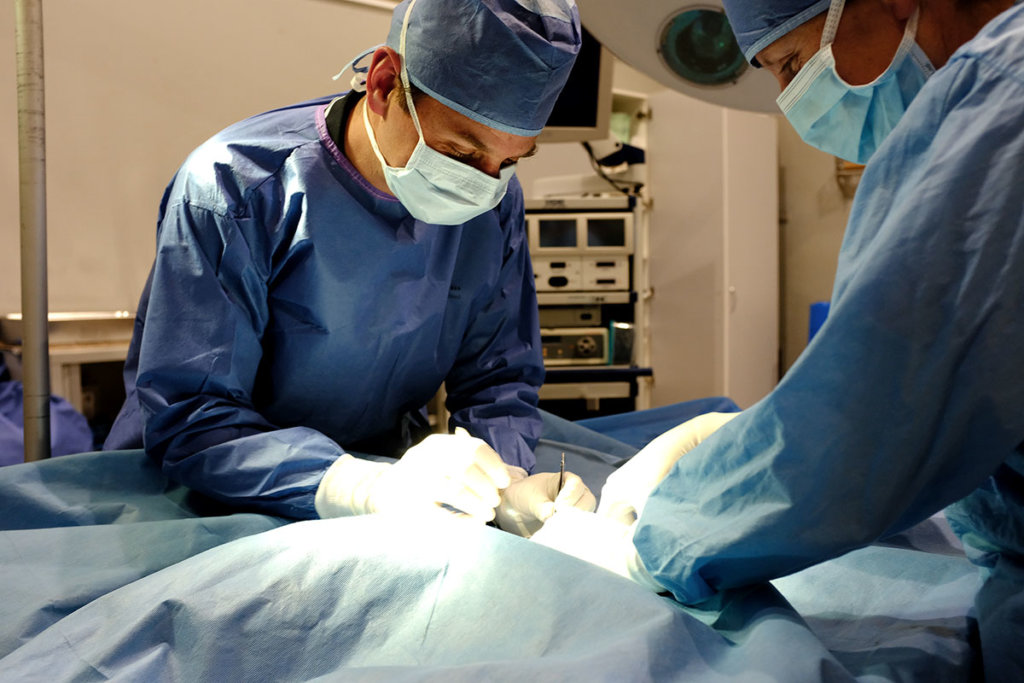 Equine Surgery - South Eastern Equine Hospital